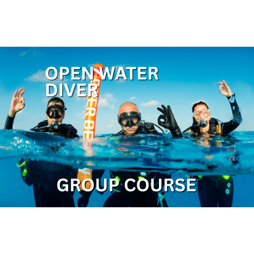 OPEN WATER DIVER