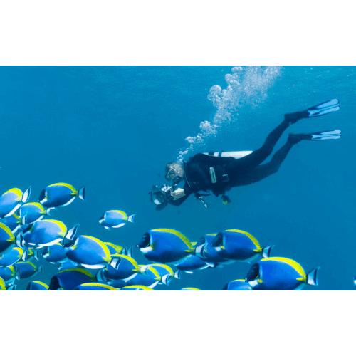 Project AWARE Fish ID