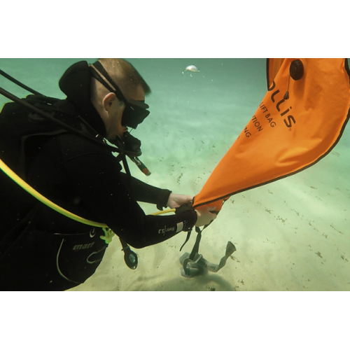 Search and Recovery Diver