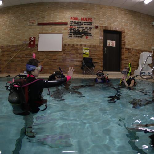 PADI IDC Staff Instructor | Take Your Instructor Training Further