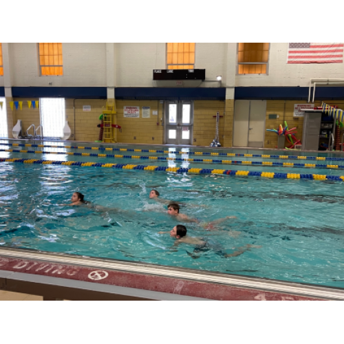 BSA Swimming Merit Badge