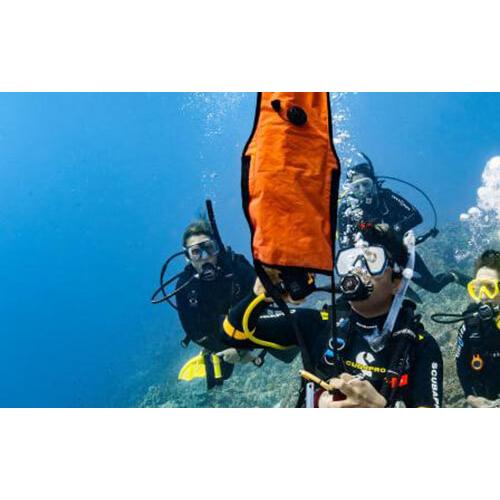 Search And Recovery Diver