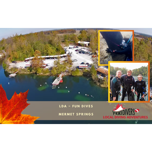 Mermet Springs