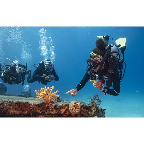 Discover Scuba Diving
