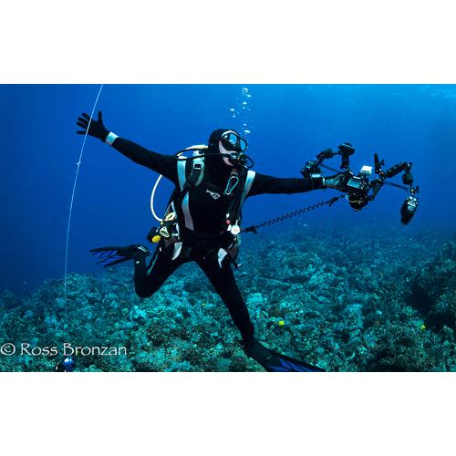 Kona Classic Day Dive | Explore Tropical Marine Life with Jack's Diving ...