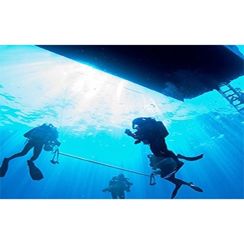 Join us to complete all the courses and dive for the British Stunt Register