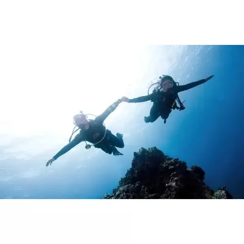 Premium PADI Advanced Open Water Course | Elite Dive Training Forster