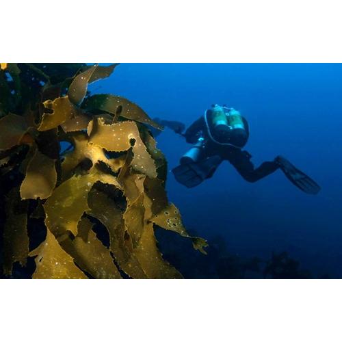Technical Diving Intro NZ | Sidemount/Doubles | Global Dive