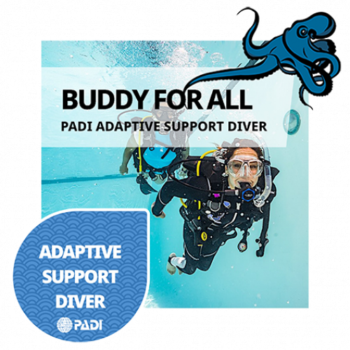ADAPTIVE SUPPORT DIVER