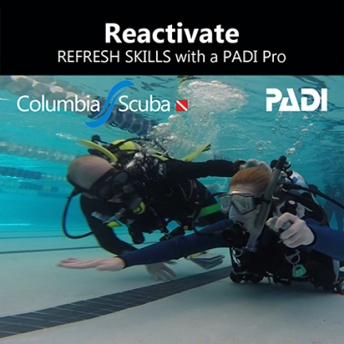 Reactivate your diving