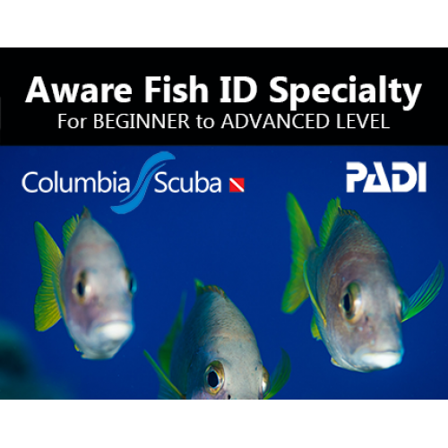 AWARE Fish ID