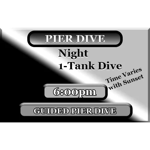 Night Guided Scuba Diving at Frederiksted Pier | St. Croix Ultimate ...