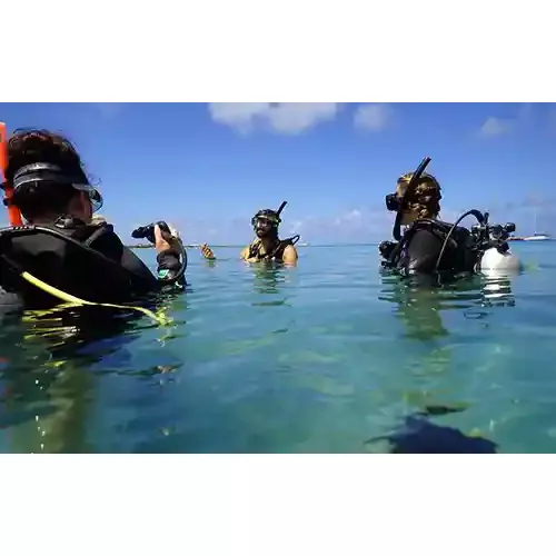 PADI Discover Scuba Diving Course | St. Croix Ultimate Bluewater Adventures