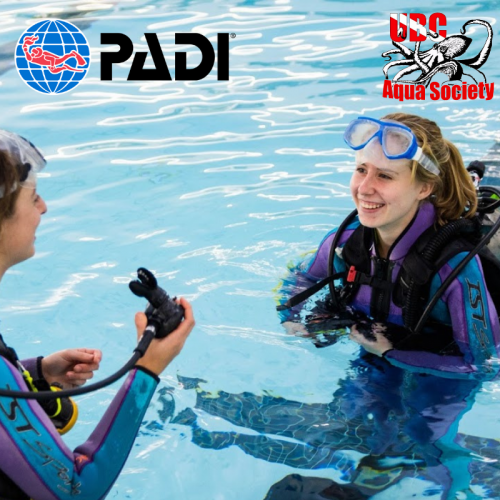 PADI Discover Scuba Diving