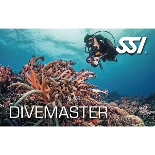 Dive Master/Dive Guide Bundle